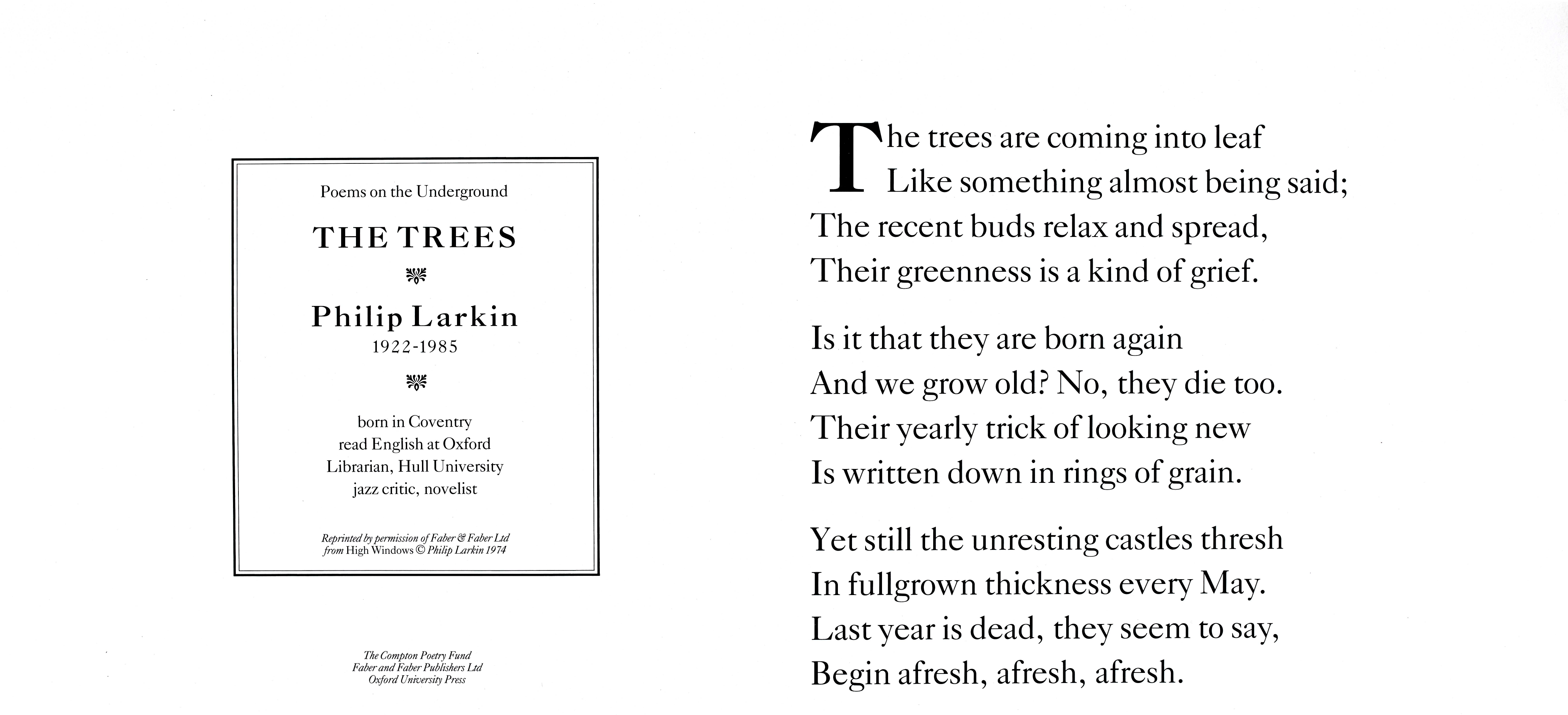 Tree Poetry Poetry For Children: A Christmas Poem